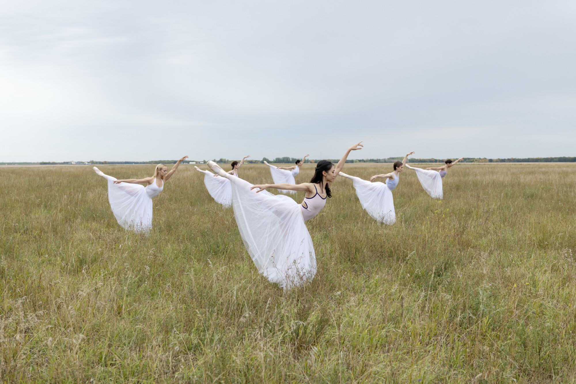 Home - Royal Winnipeg Ballet